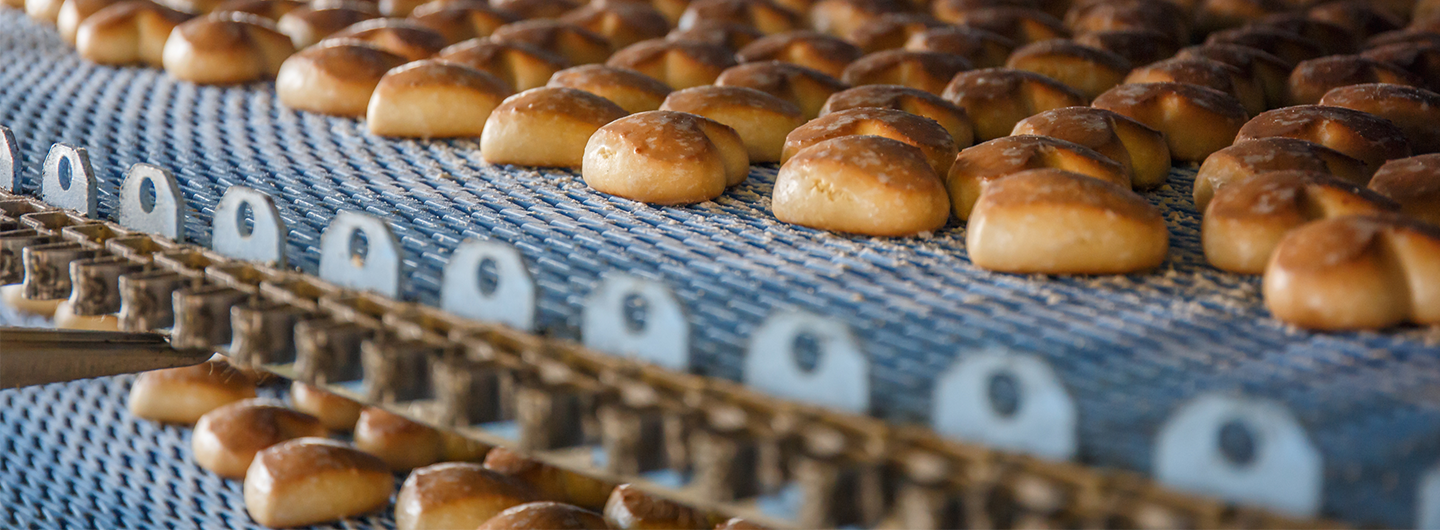 Conveyor Products & Total Solutions for the Food and Beverage ...