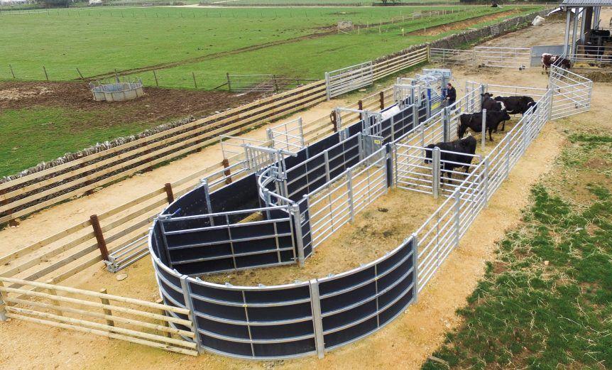 Plastic Enclosure Walls for Livestock - Dotmar